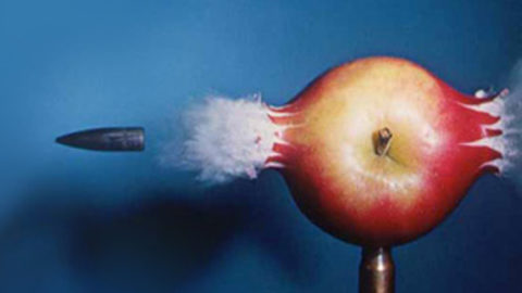 XENON Company History - XENON