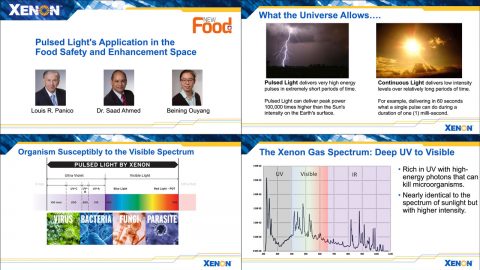 Pulsed Light Technology in Food Processing | THE PULSE